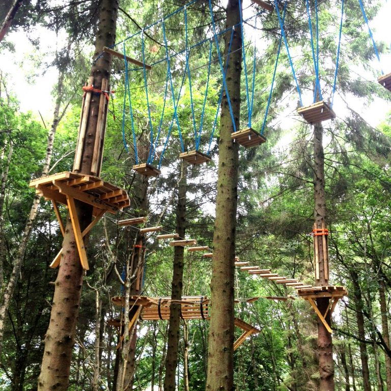 Treetop Adventure | Action Glen Adventure Park